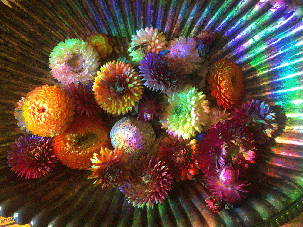 geode-portraits – Emily Wick