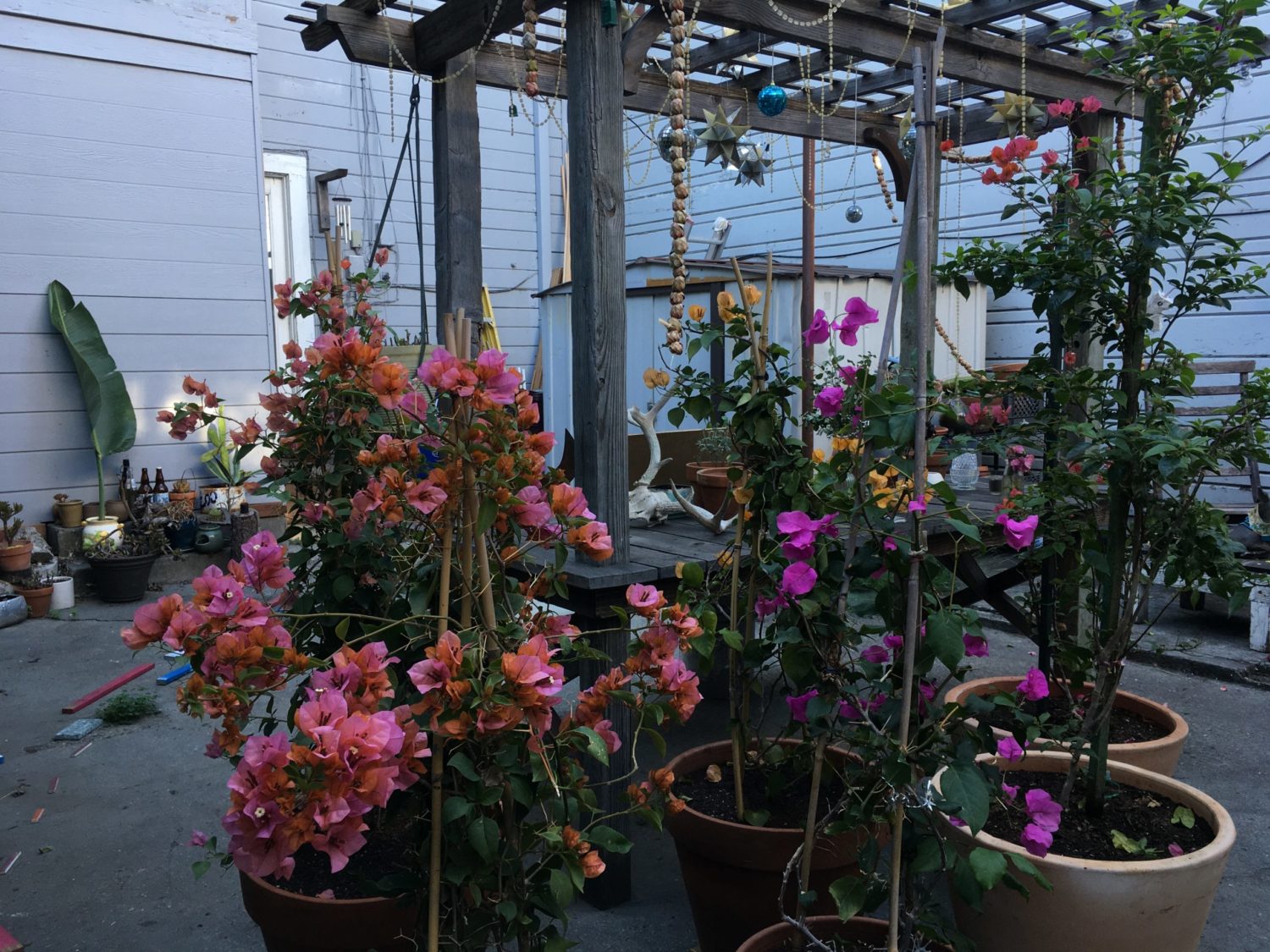 11. reality – Emily Wick