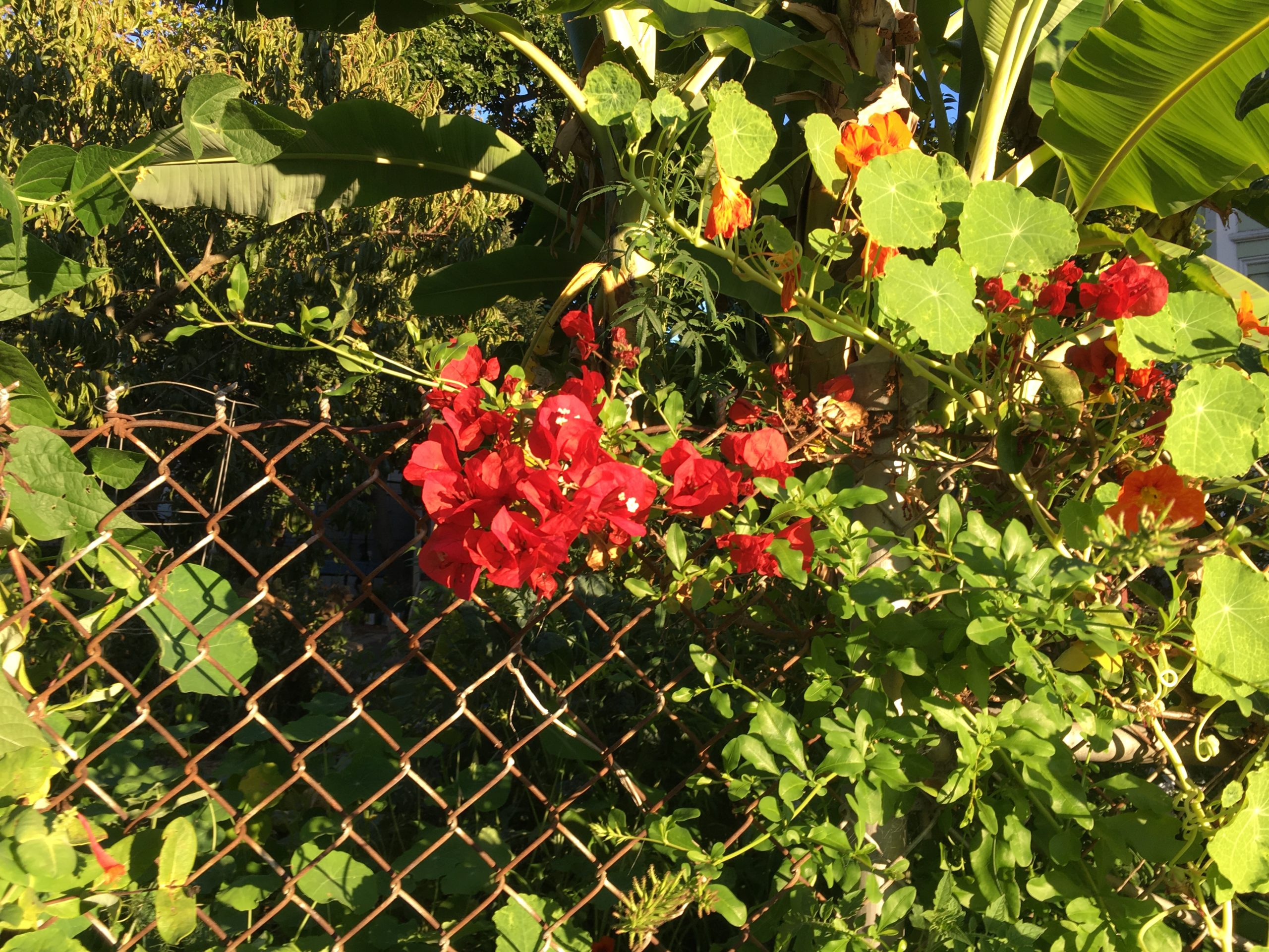 Around Neighborhood B – Emily Wick