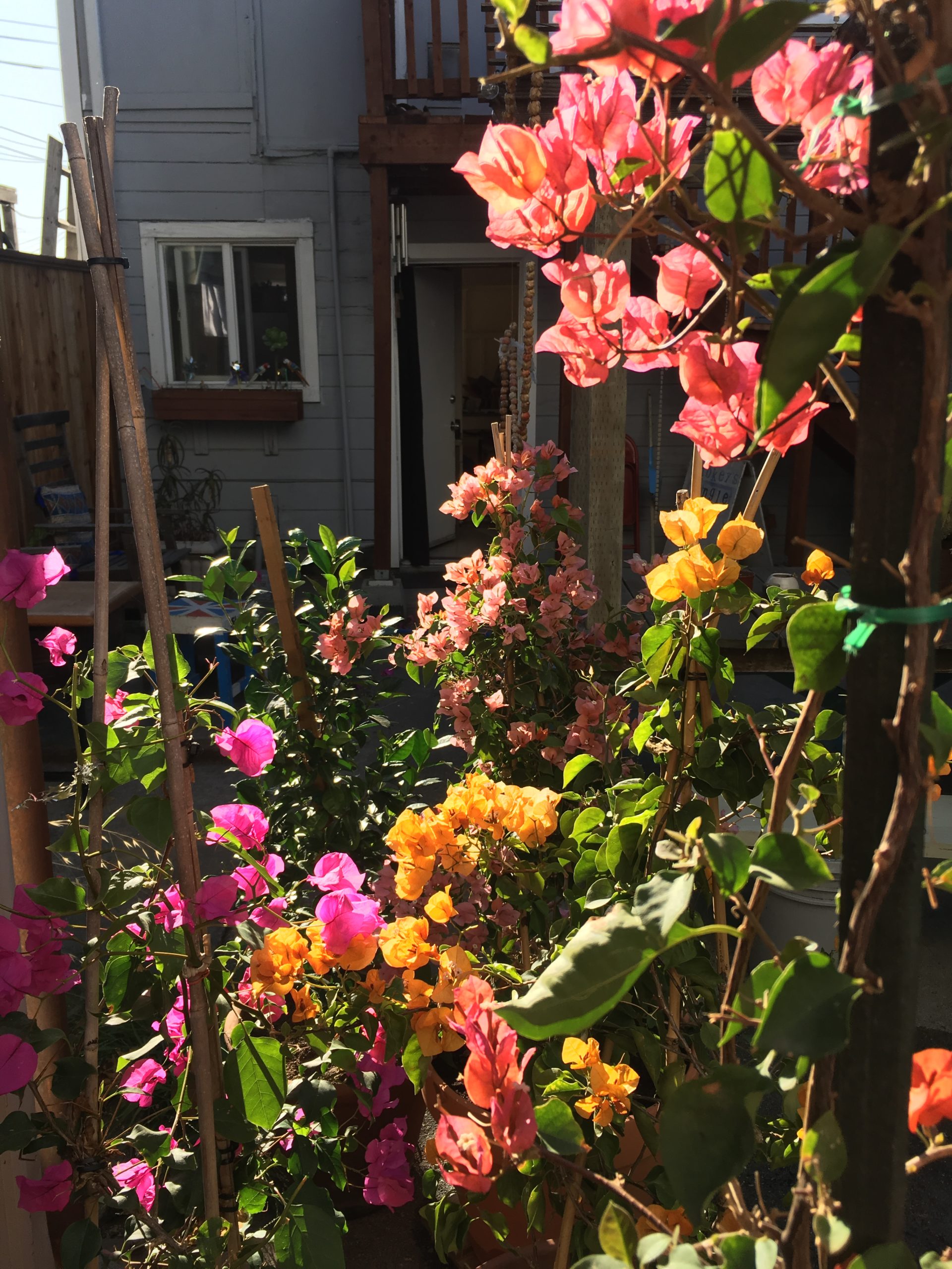 IMG_0220 – Emily Wick